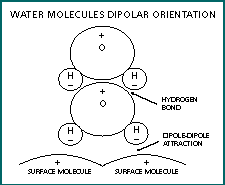 Contact Lens Spectrum | PentaVision