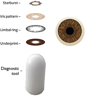 Contact Lens Spectrum | PentaVision