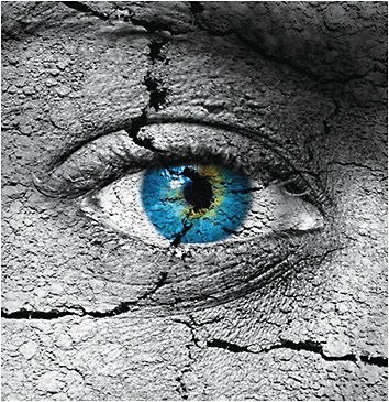 THE SCLERAL LENS VAULT | Contact Lens Spectrum